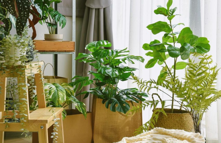Captivating Kitchen Island Lights: A Gallery of Illuminating Images ...